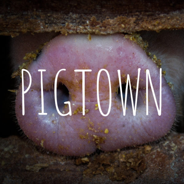 Pigtown - Sliotar - Celtic music from Ireland